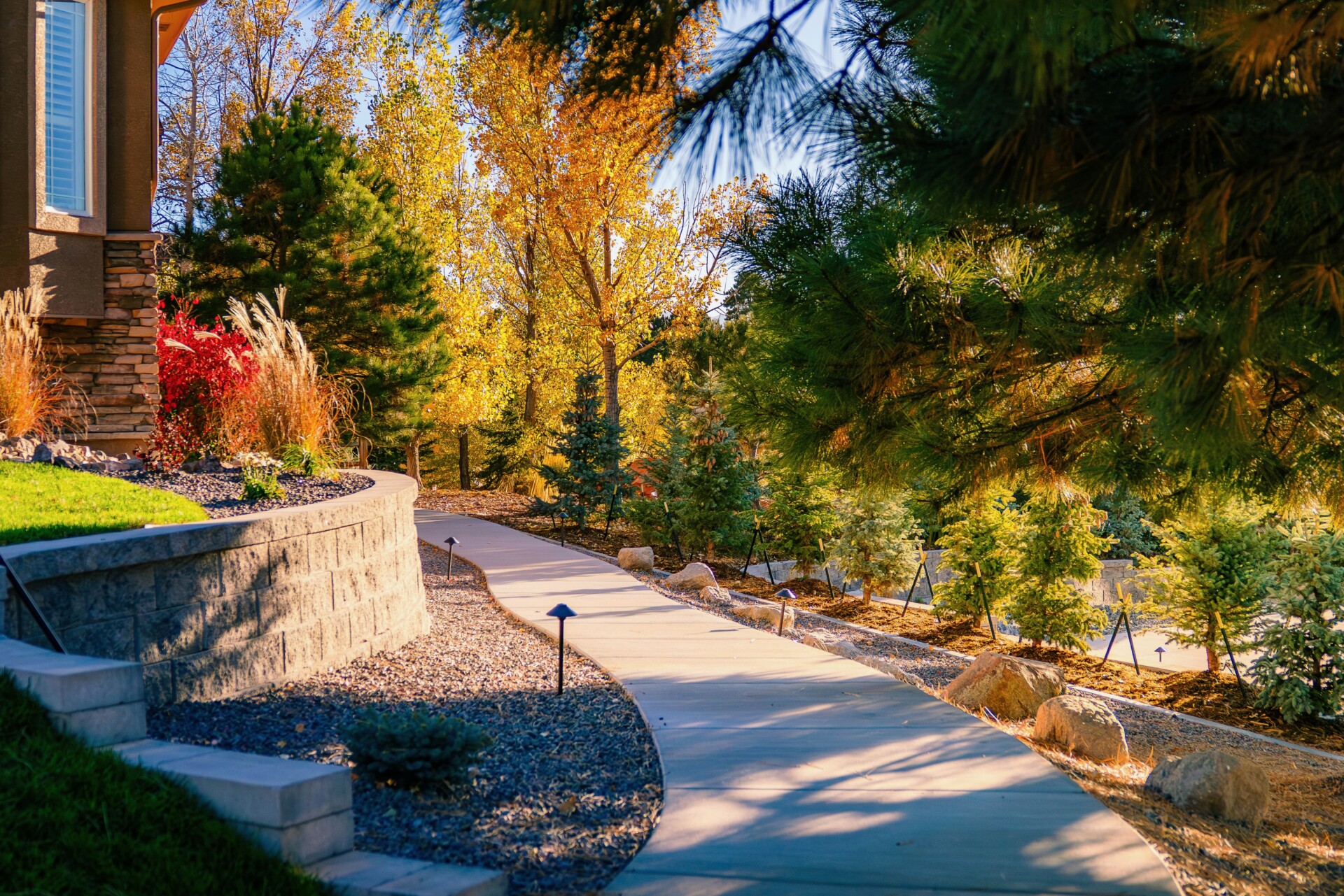 Best Yard in Monument - Landscape Project by Patterson